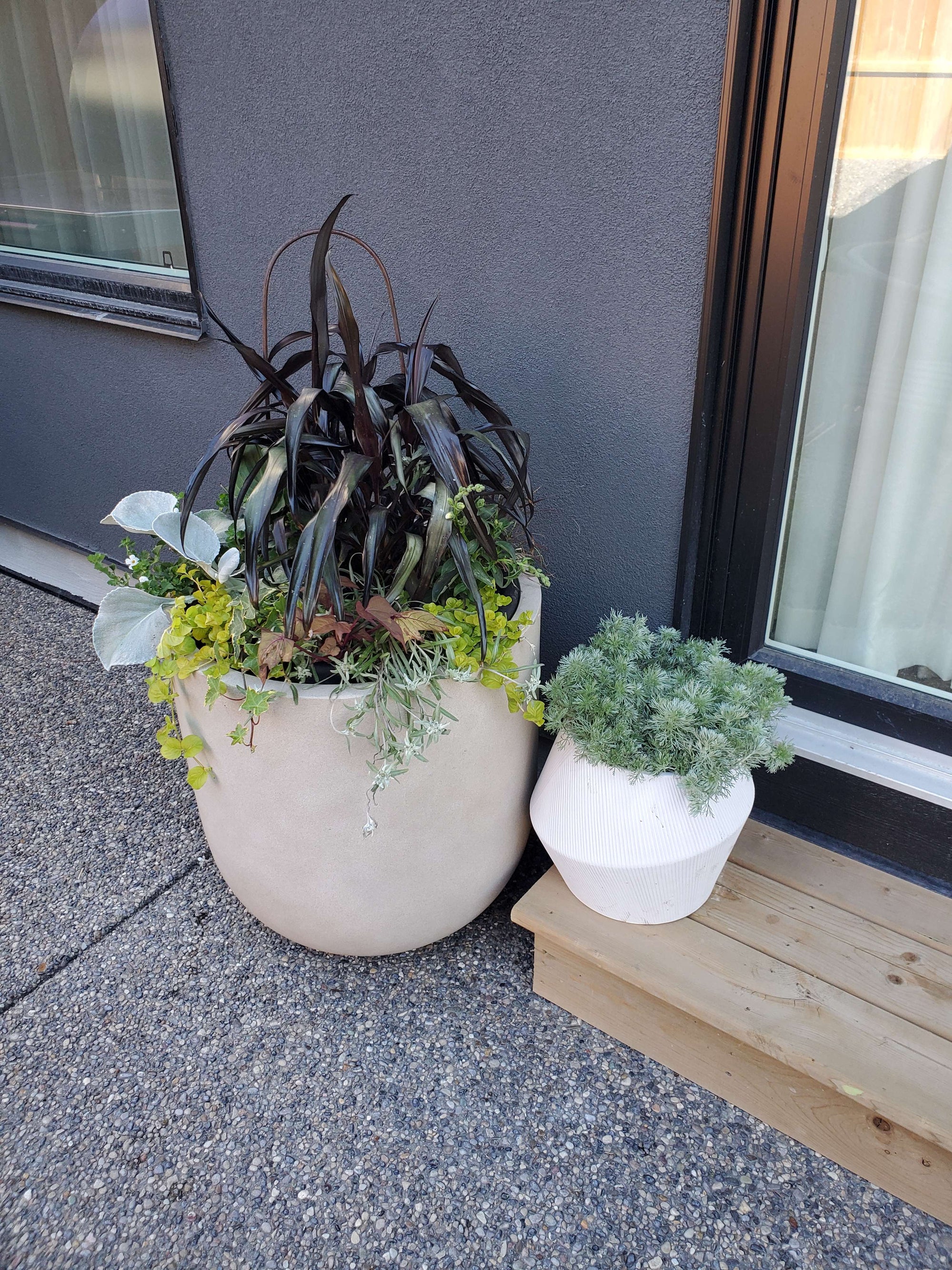 Seasonal Planters – HD Blooms